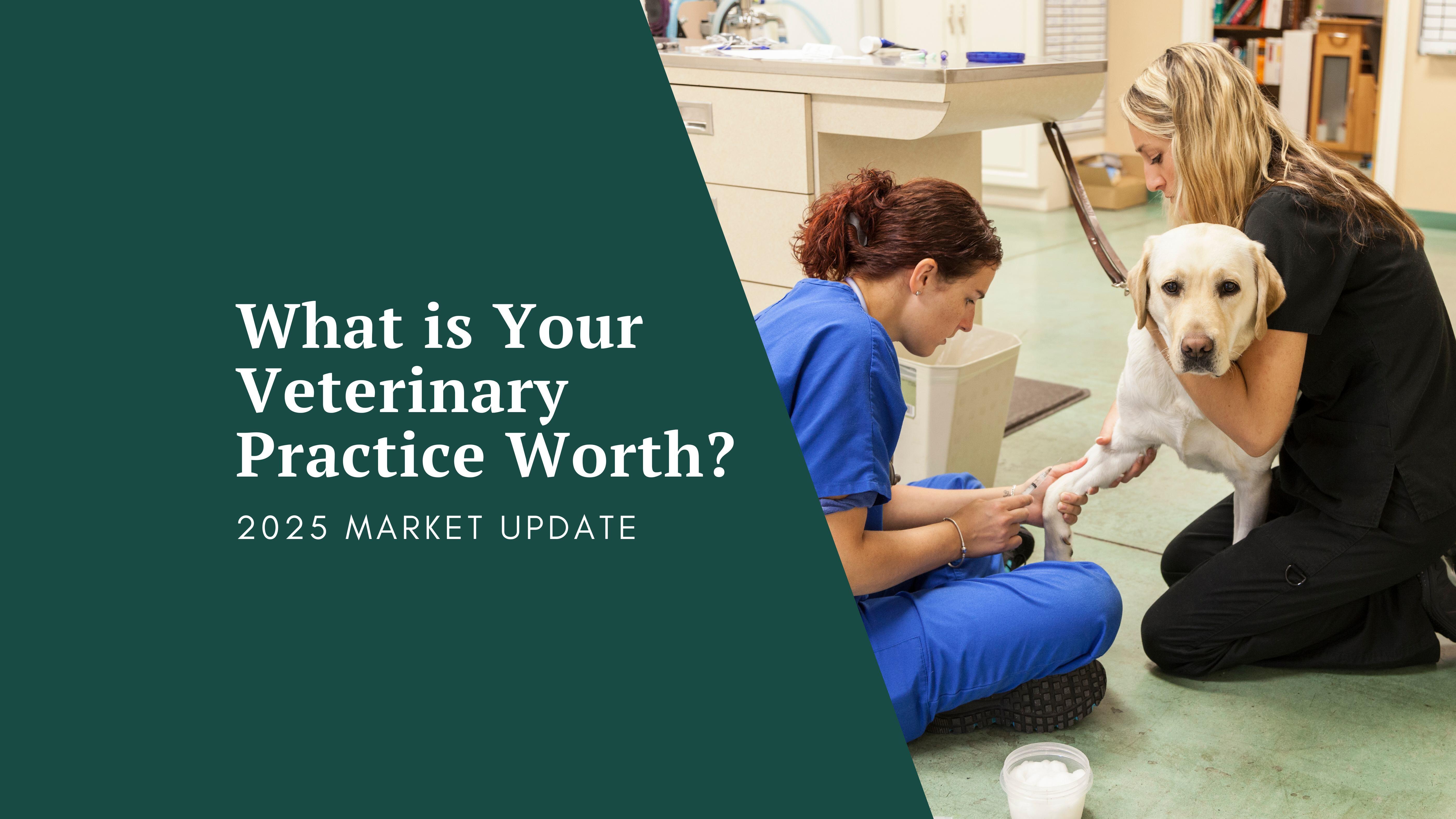 What is Your Veterinary Practice Worth in 2025?