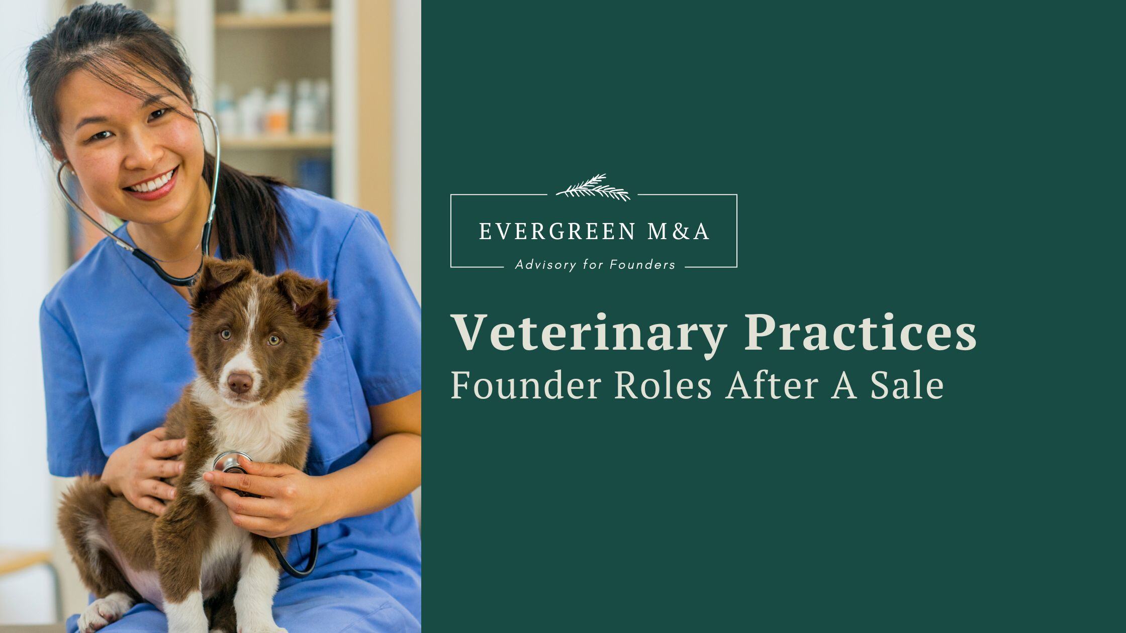 Veterinary Clinic Owners: What Happens After You Sell Your Practice?