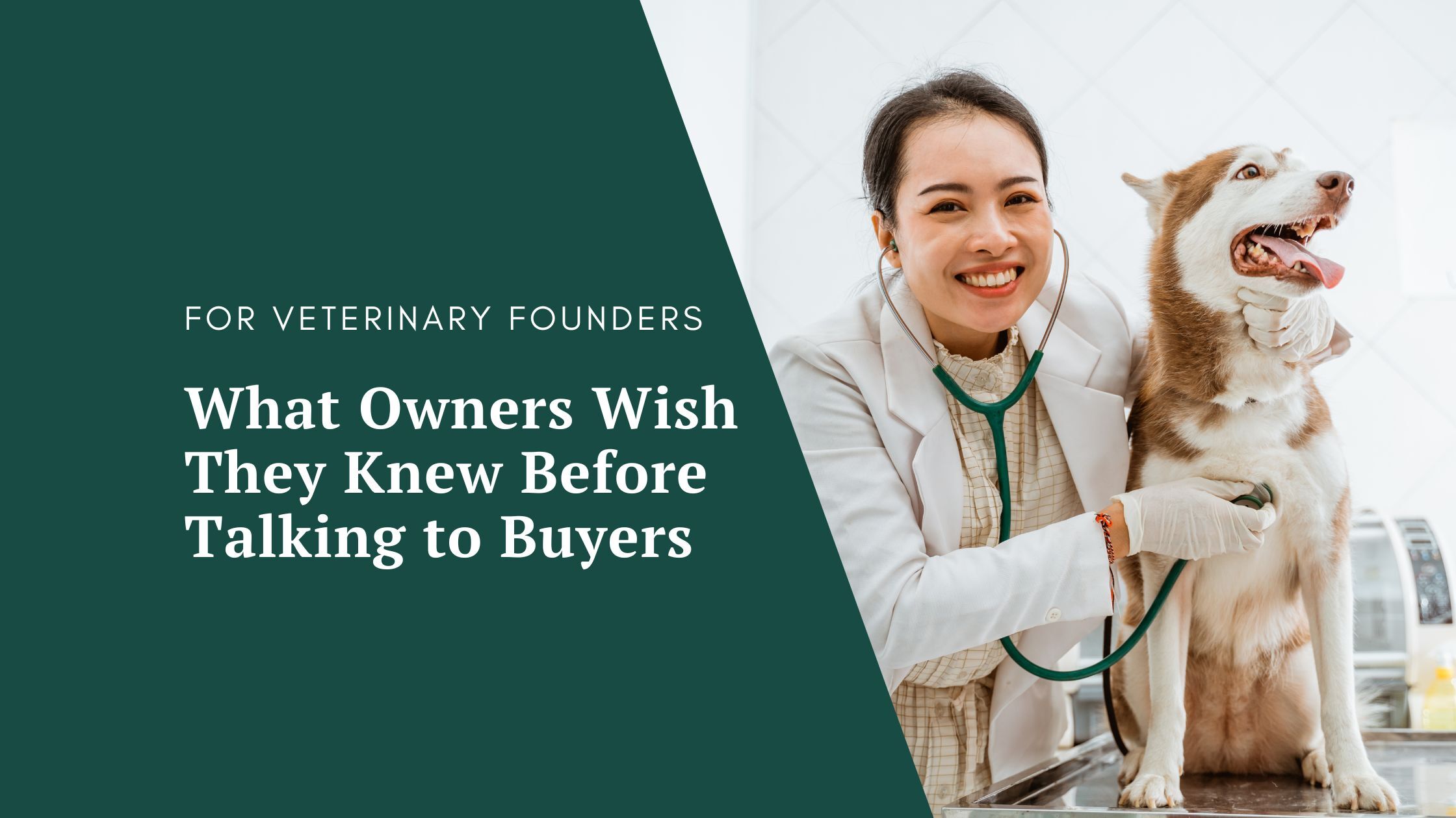 What Veterinary Practice Owners Wish They Knew Before Talking to Buyers
