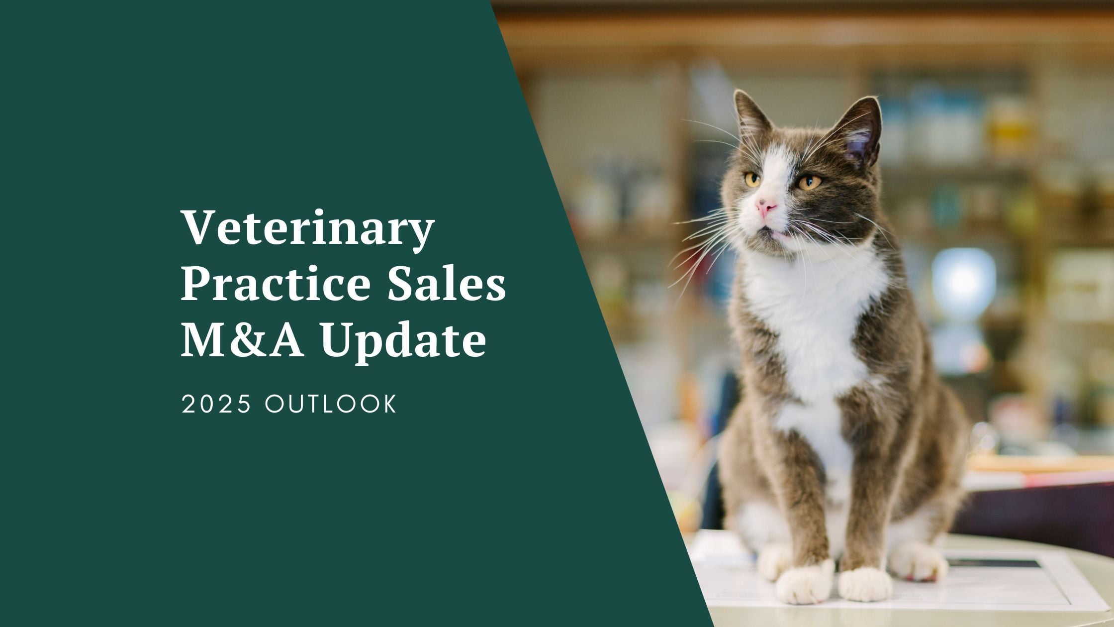 Veterinary Practice Sales: What Q1 2025 Tells Us About Valuations ...