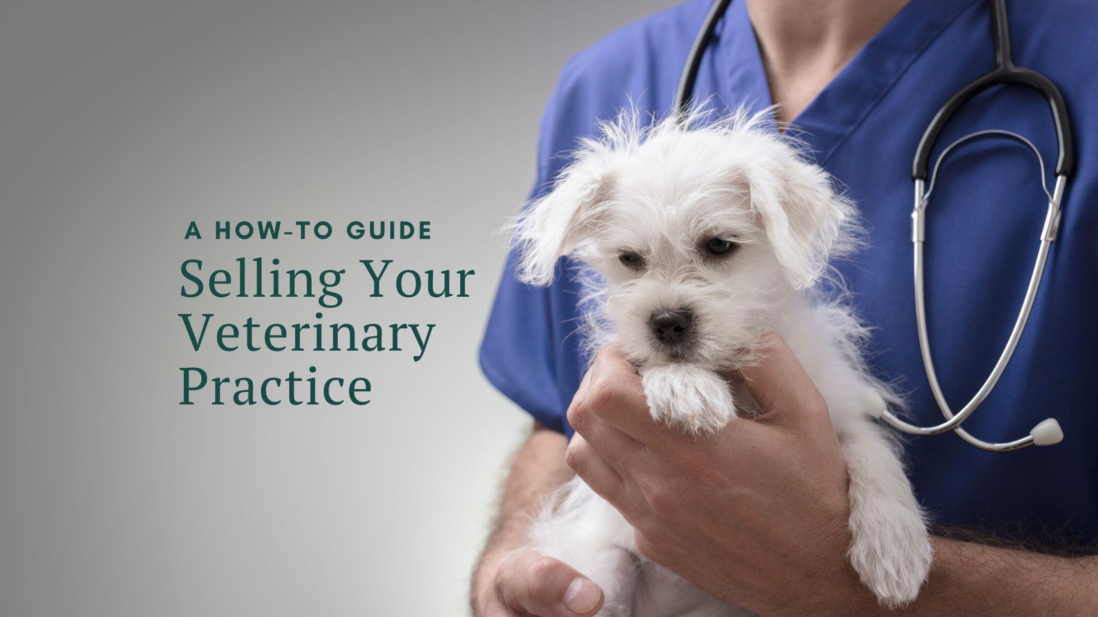 How To Sell A Veterinary Practice: A Complete Guide
